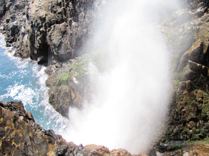 The Amazing Punta Banda Peninsula in Ensenada - Tanama Tales