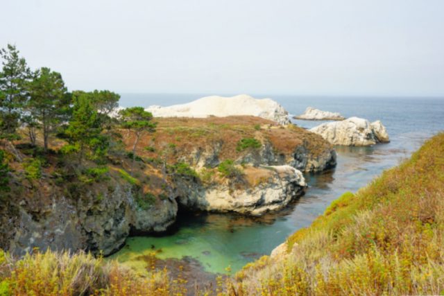 Point Lobos: A Must Visit Along the California Coast - Tanama Tales