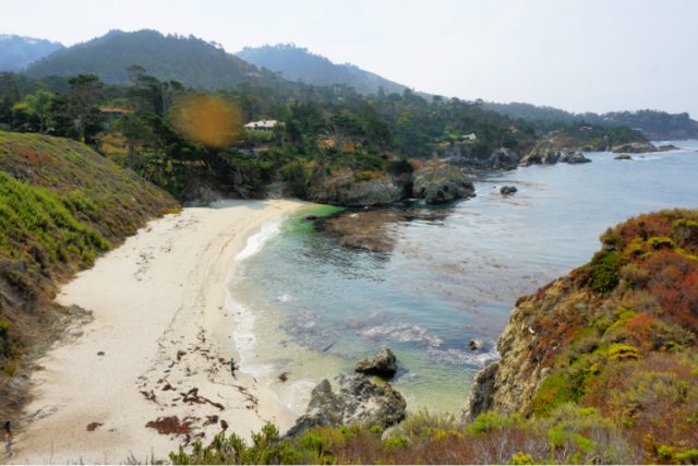Point Lobos: A Must Visit Along the California Coast - Tanama Tales