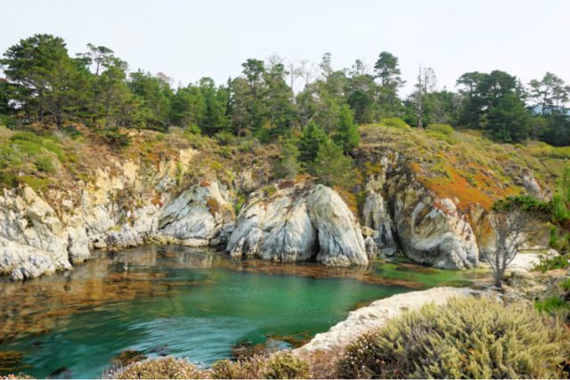 Point Lobos: A Must Visit Along the California Coast - Tanama Tales