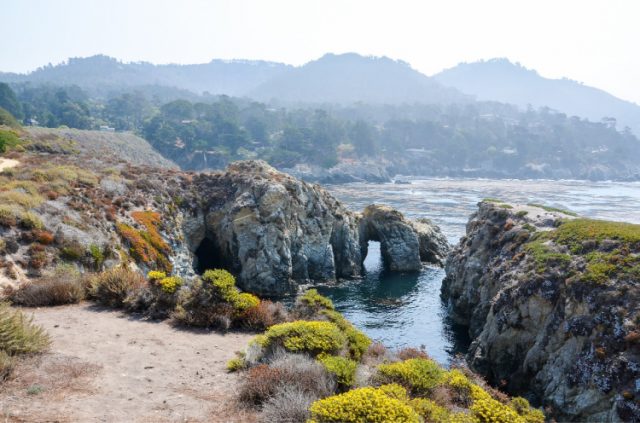 Point Lobos: A Must Visit Along the California Coast - Tanama Tales