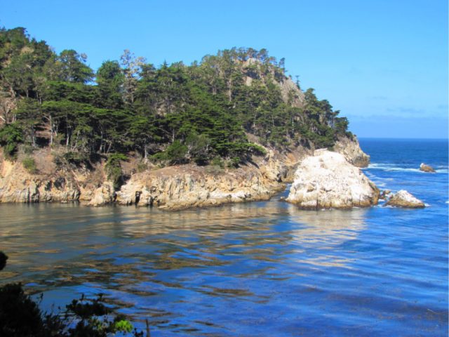 Point Lobos: A Must Visit Along the California Coast - Tanama Tales