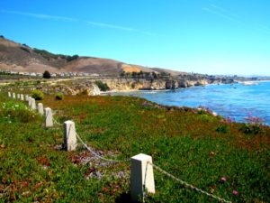 Shell Beach, California: Great Coastal Views! - Tanama Tales