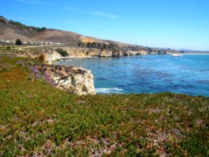 Shell Beach, California: Great Coastal Views! - Tanama Tales