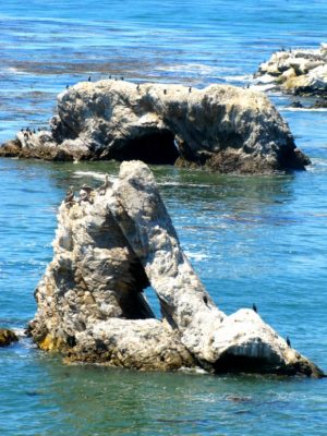 Shell Beach, California: Great Coastal Views! - Tanama Tales
