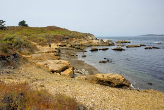 Point Lobos: A Must Visit Along the California Coast - Tanama Tales