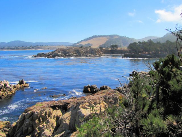 Point Lobos: A Must Visit Along the California Coast - Tanama Tales