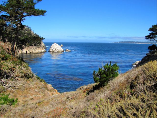 Point Lobos: A Must Visit Along the California Coast - Tanama Tales