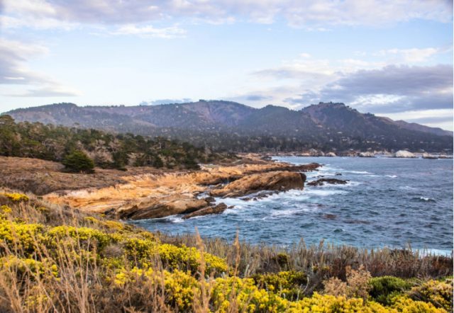 Point Lobos: A Must Visit Along the California Coast - Tanama Tales