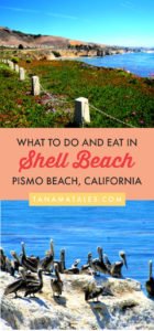 Shell Beach, California: Great Coastal Views! - Tanama Tales