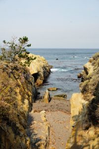 Point Lobos: A Must Visit Along the California Coast - Tanama Tales