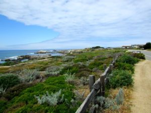 Things to Do in Pacific Grove, California - Tanama Tales