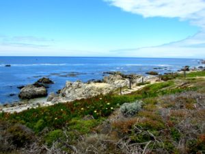 Things to Do in Pacific Grove, California - Tanama Tales