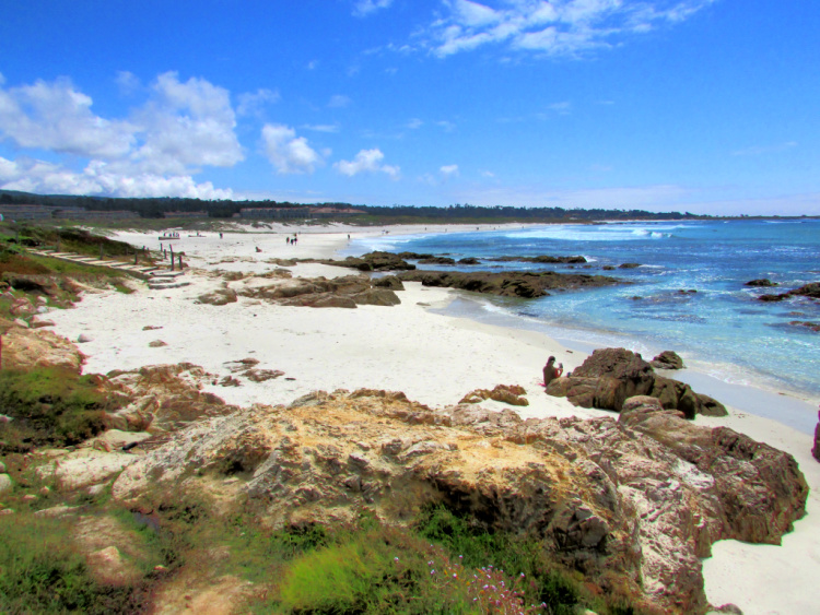 Things to Do in Pacific Grove, California - Tanama Tales