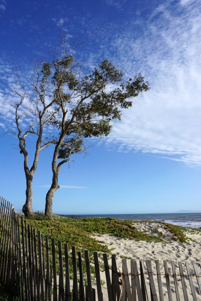 Things to Do in Carpinteria, California: Beach Town Cool - Tanama Tales