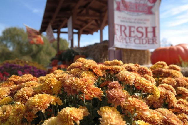 Fall in Southern California: Great Places to Visit - Tanama Tales