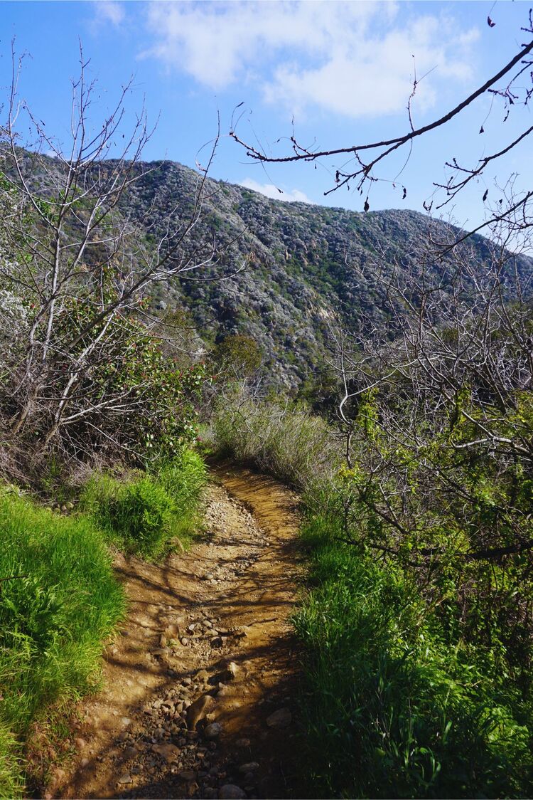 Temescal Gateway Park Hiking Guide - Tanama Tales